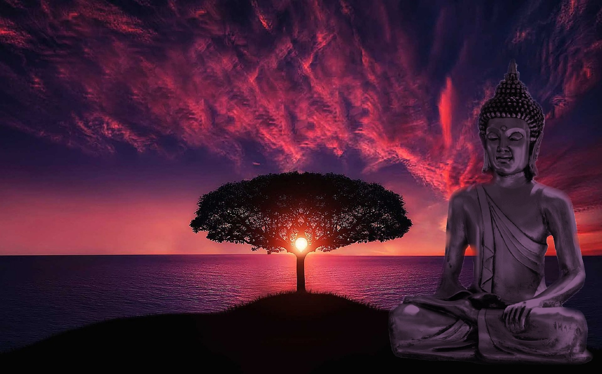 The Hero’s Journey: The Buddha’s Four Noble Truths – The Magical Universe